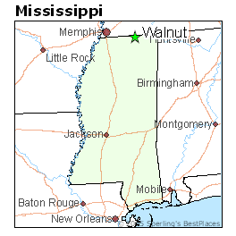 Best Places to Live in Walnut, Mississippi