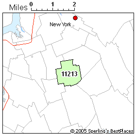 Zip 11213 (New York, NY) Rankings