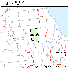 Chicago (zip 60643), Illinois Voting