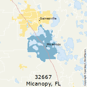 Micanopy (zip 32667), FL