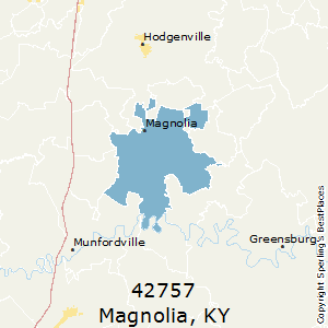 Magnolia Tx Zip Code Map - Map