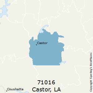 Castor (zip 71016), LA