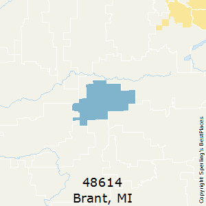 Brant (zip 48614), MI
