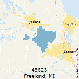 Freeland (zip 48623), MI