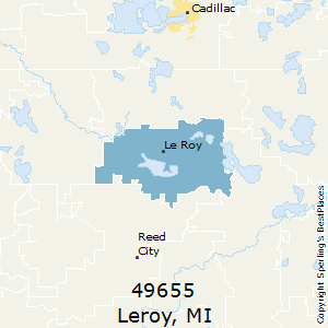 Leroy (zip 49655), MI