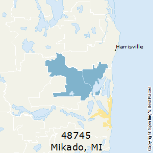Mikado (zip 48745), MI