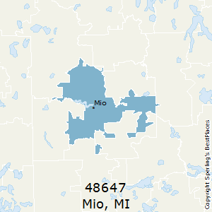 Mio (zip 48647), MI