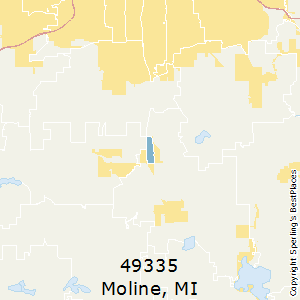 Moline (zip 49335), MI