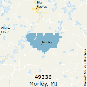 Morley (zip 49336), MI