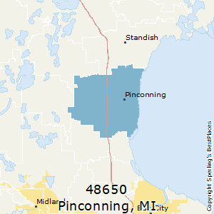 Pinconning (zip 48650), MI