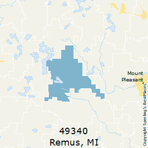 Remus (zip 49340), MI