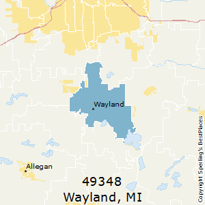 Wayland (zip 49348), MI