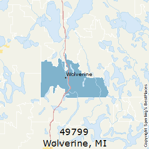 Wolverine (zip 49799), MI