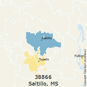 Saltillo (zip 38866), MS