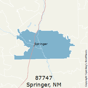 Springer (zip 87747), NM