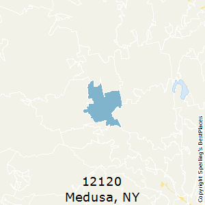 Medusa (zip 12120), NY