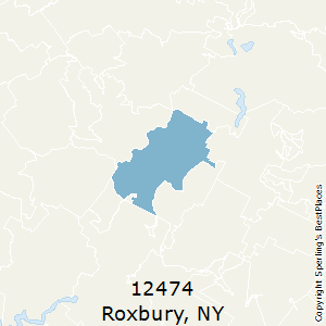 Roxbury (zip 12474), NY