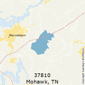 Mohawk (zip 37810), TN