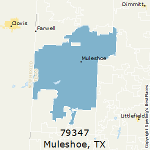 Muleshoe (zip 79347), TX