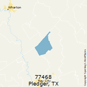 Pledger (zip 77468), TX